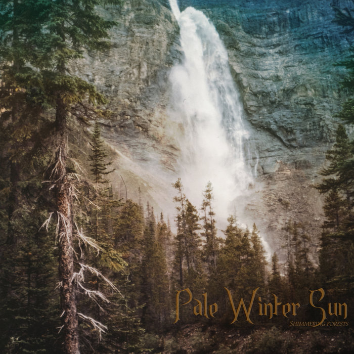 Shimmering Forests | Pale Winter Sun | Desolate Horizons