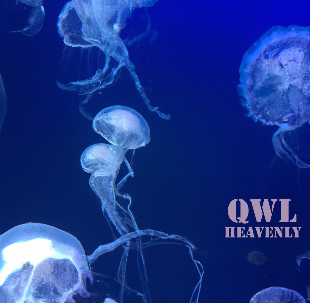 Heavenly | QWL