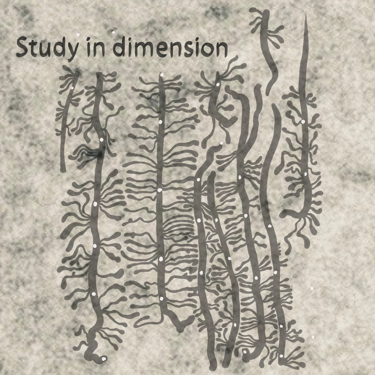 Study in dimension | Mary Rapp and Simon Barker | mary rapp