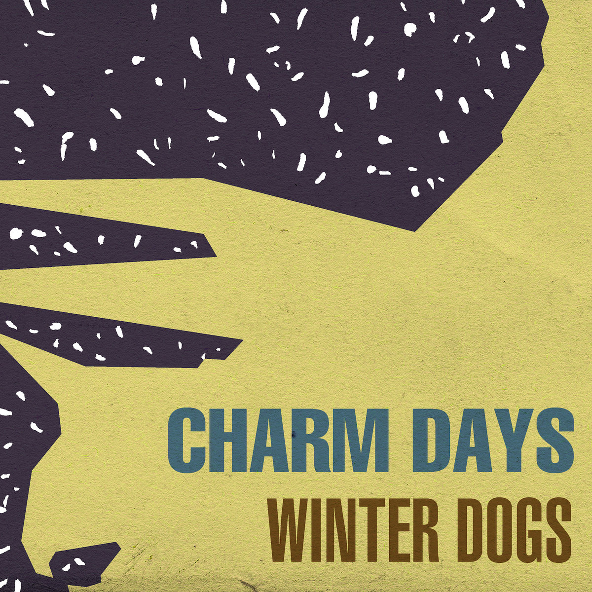 Winter Dogs | Charm Days