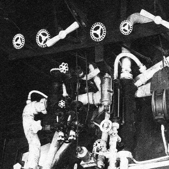 Endeavoring | Fragmented Vision | Grouse Editions