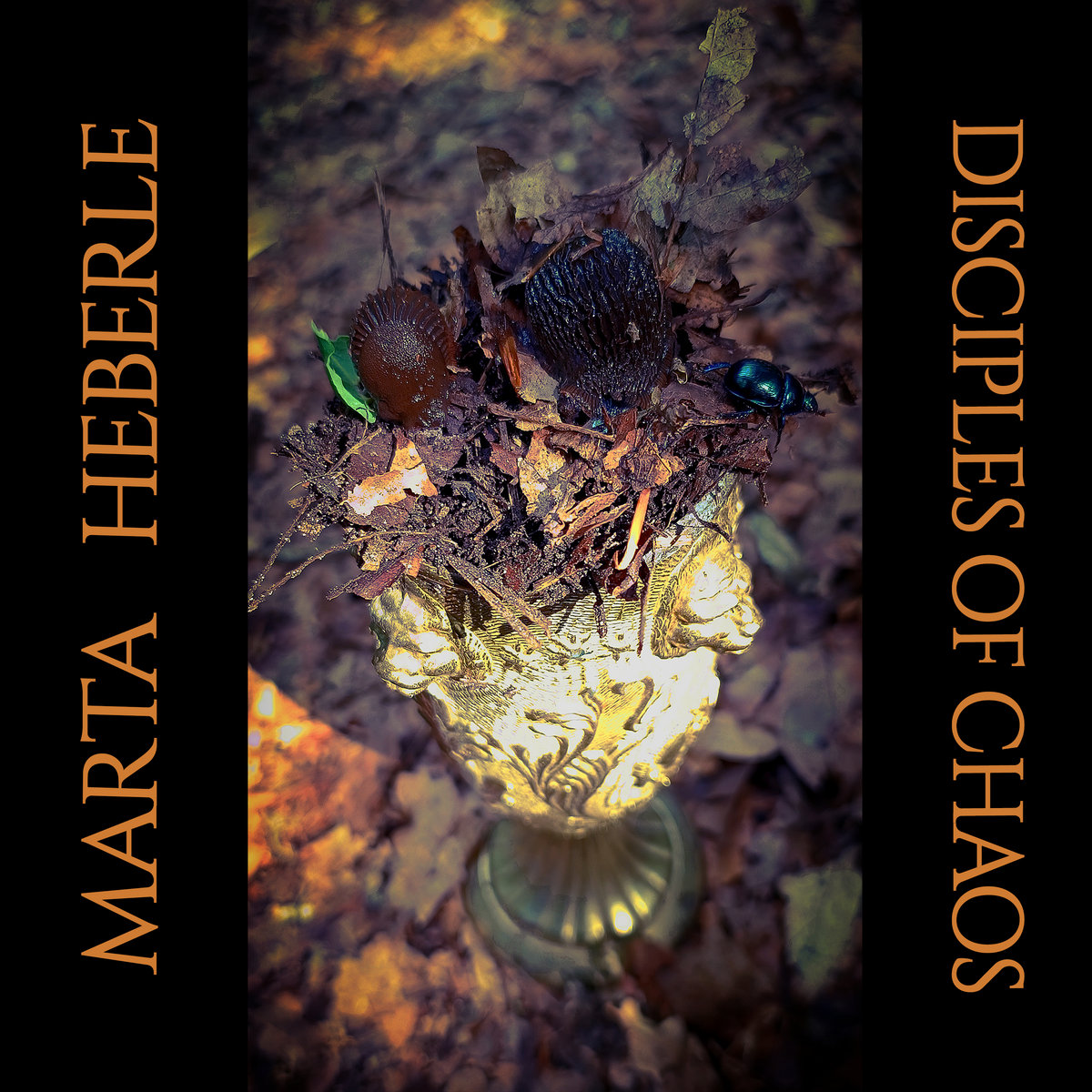 Disciples of Chaos | Marta Heberle | MARTA HEBERLE