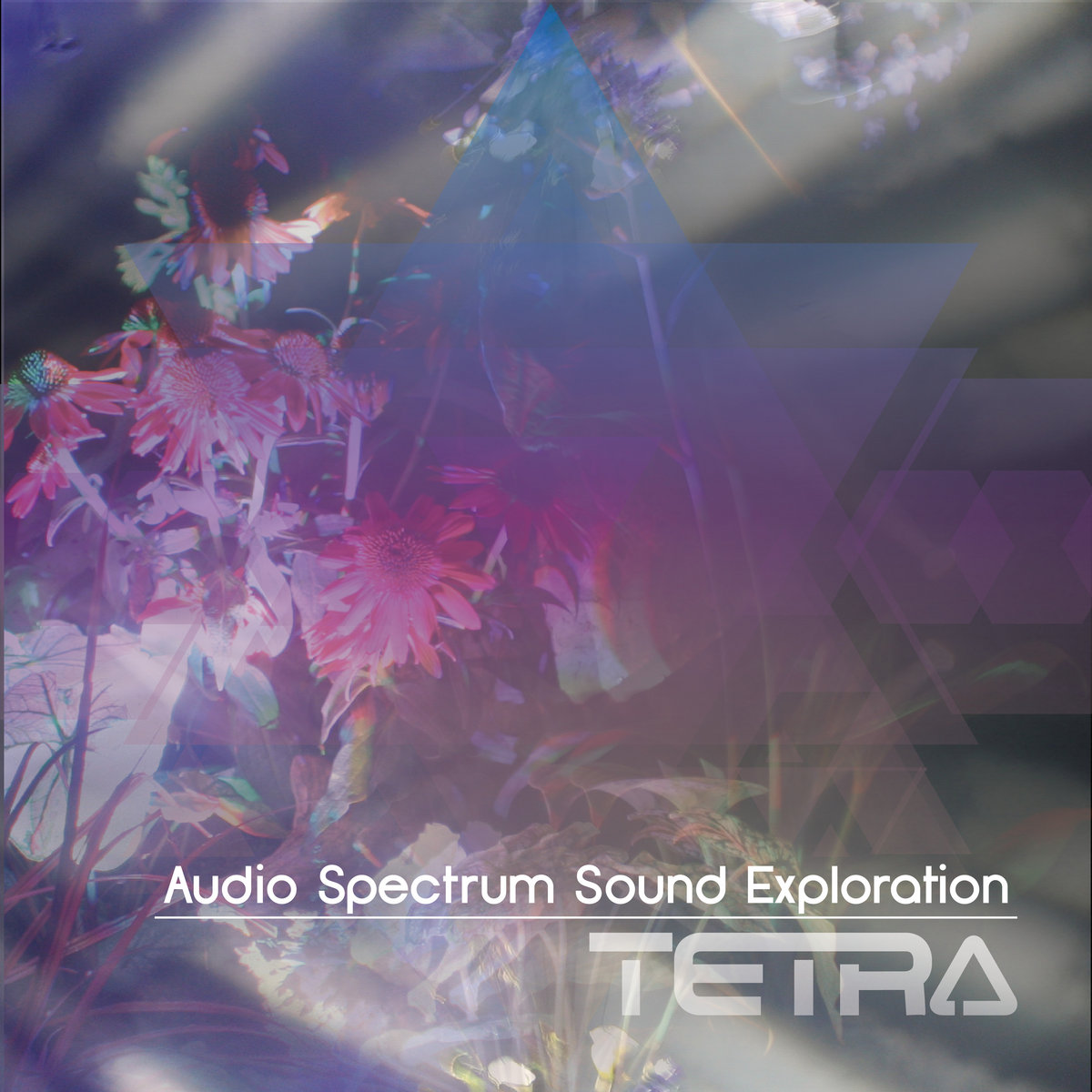Audio Spectrum Sound Exploration | Tetra Music Project