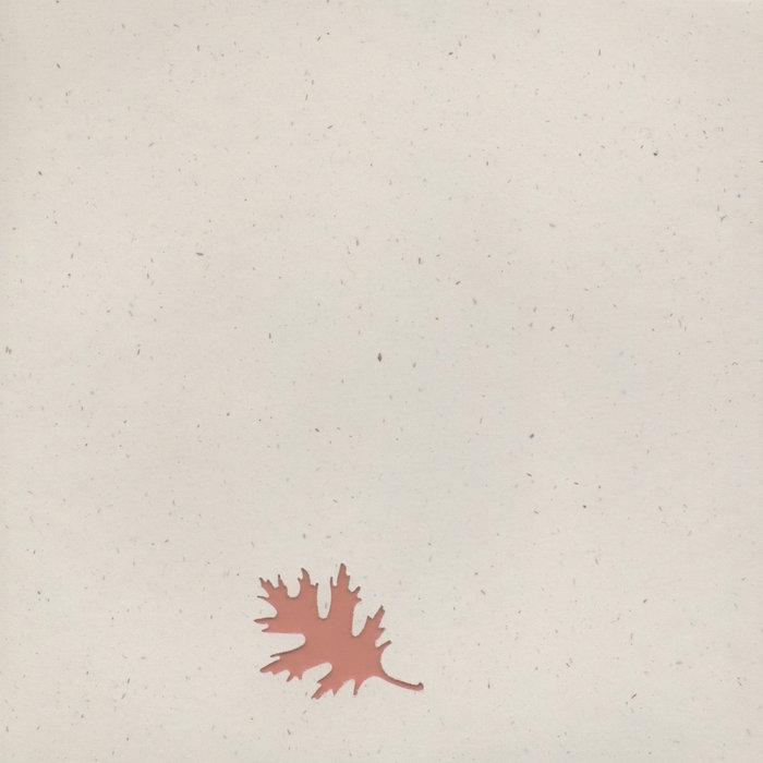 Hello St. Louis!!! | Shedding