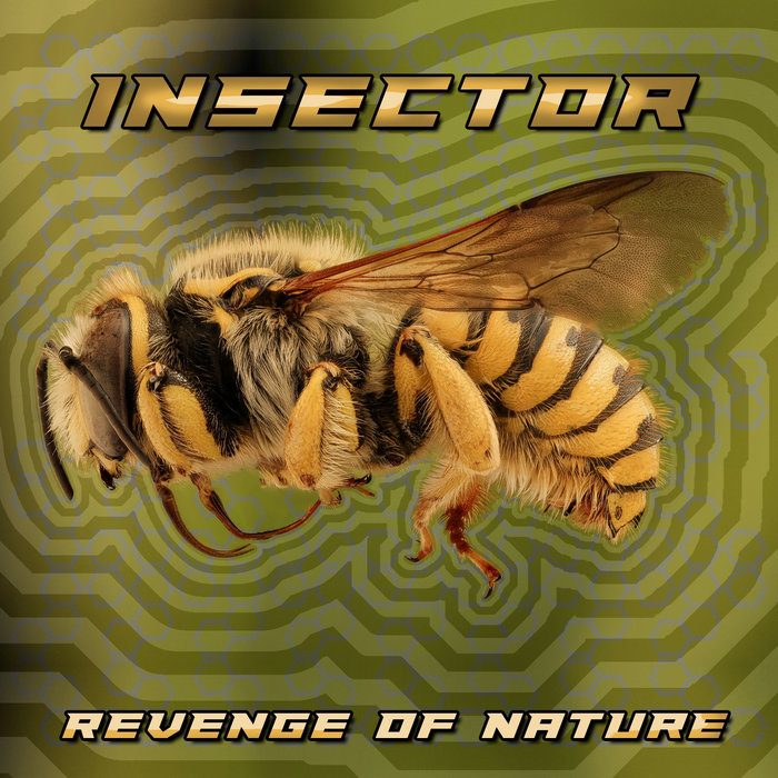 Revenge Of Nature | Insector | Active Meditation Music