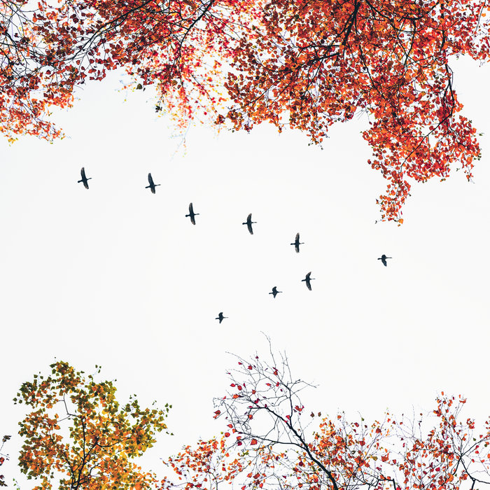 November Wind | Aleksey Chistilin