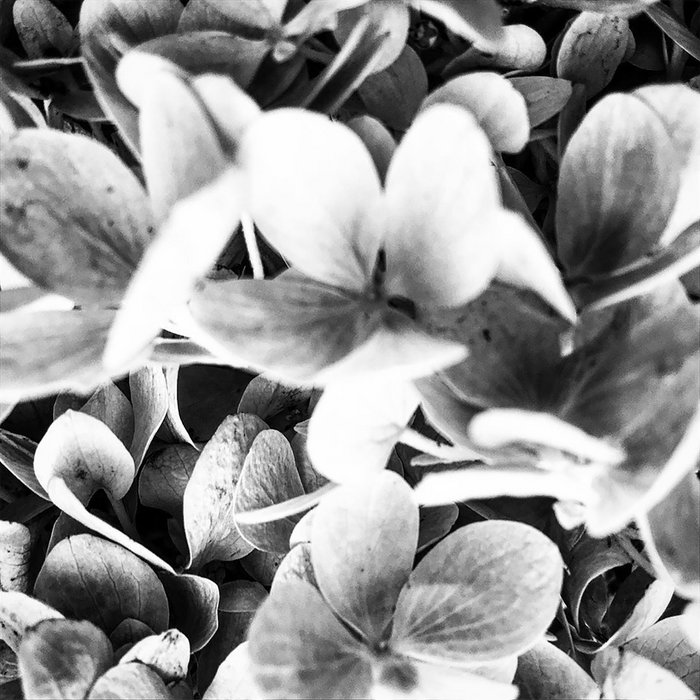 AMBIENCE TOOLS (59:10) | Ambience Tools | WHAT NOW BECOMES