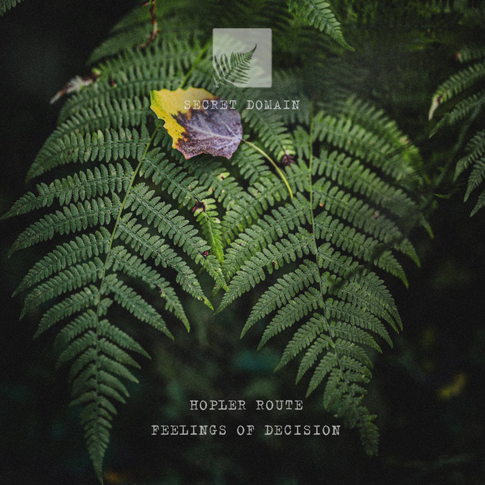 Hopler Route - Feelings Of Decision | Hopler Route | secret domain