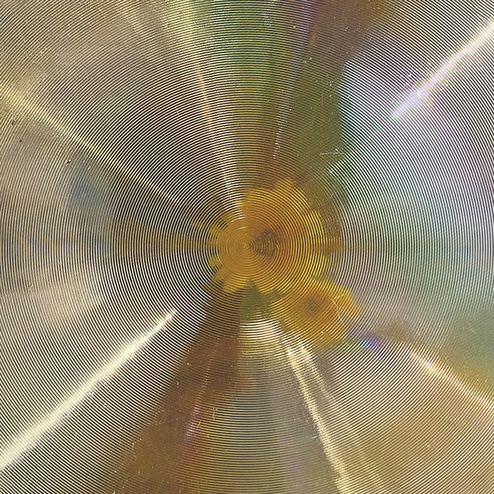 musium | Lb Honne | Project Indigo