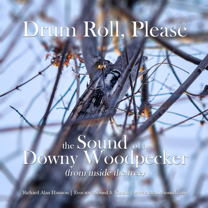 Drum Roll Please | ppgbbe.intranet.biologia.ufrj.br