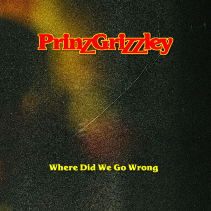 Where Did We Go Wrong | Prinz Grizzley