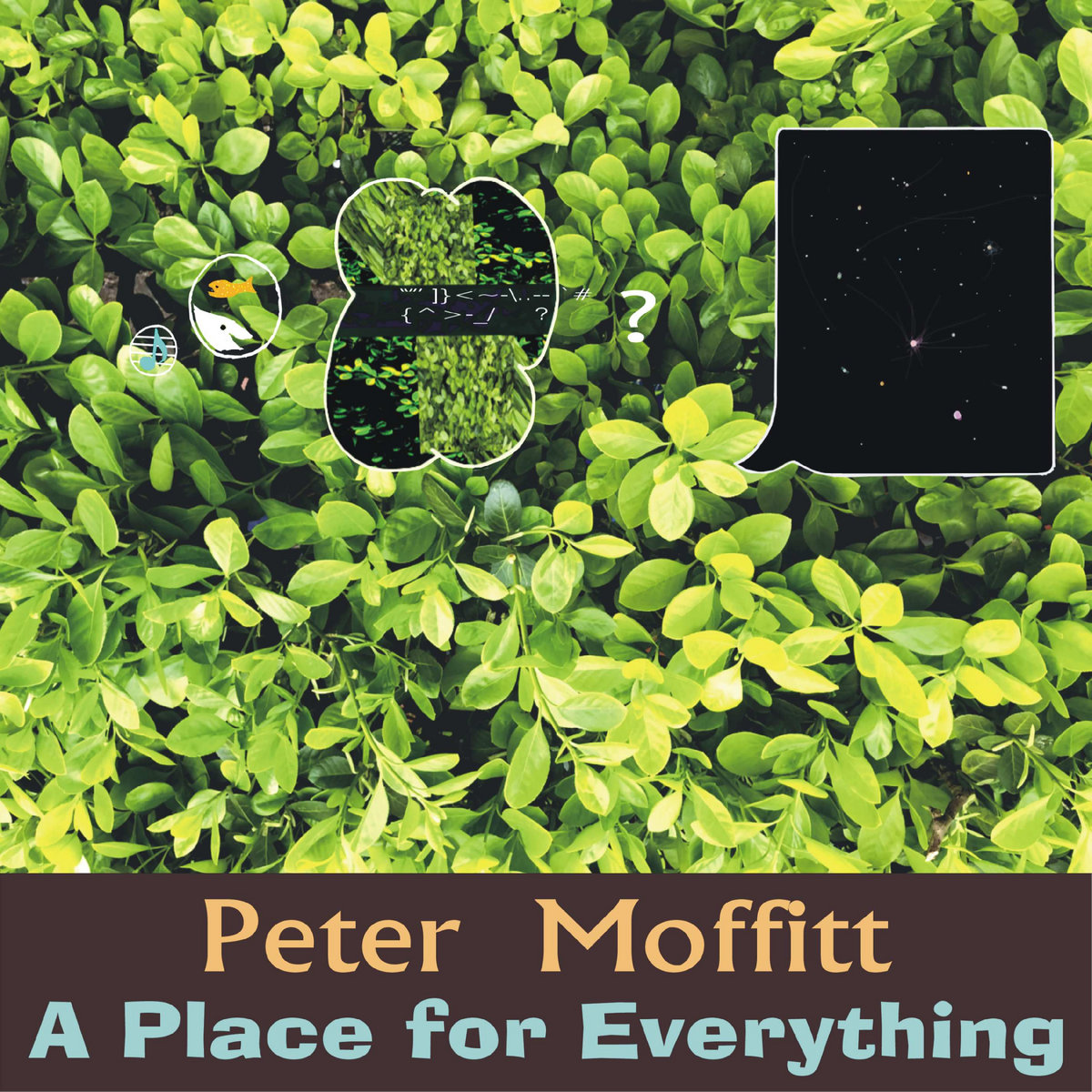 A Place for Everything | Peter Moffitt