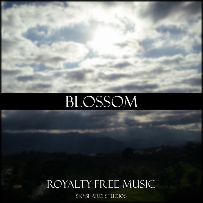 Blossom | Skyshard Studios