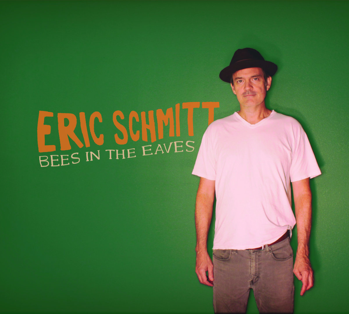 Bees in the Eaves | Eric Schmitt