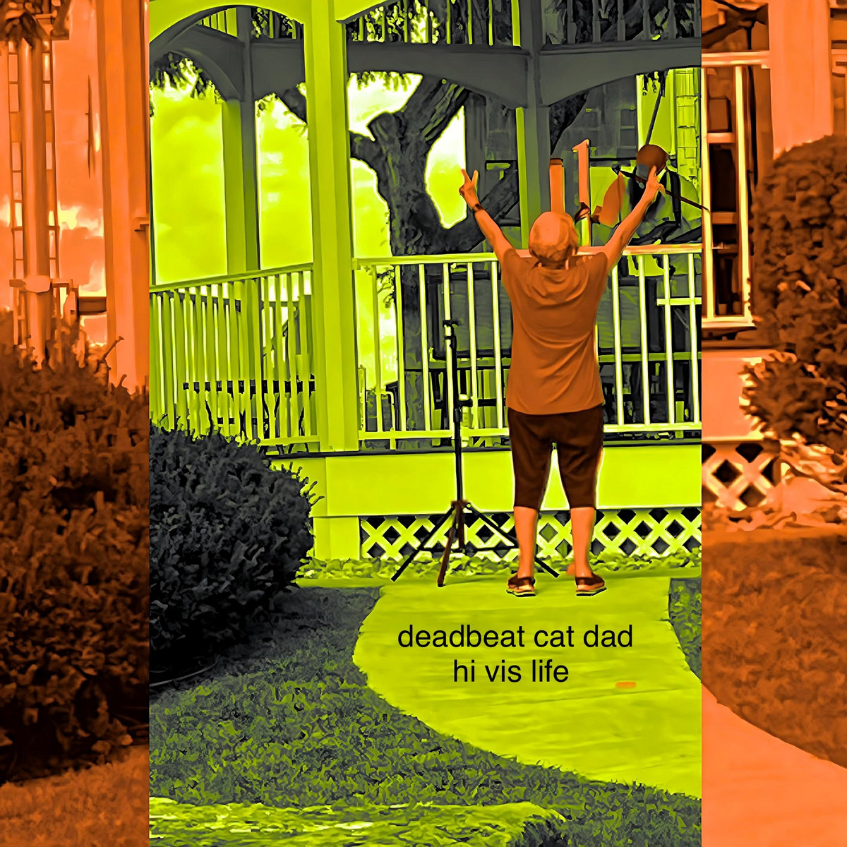 hi vis life | deadbeat cat dad