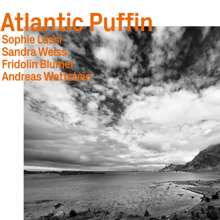 Atlantic Puffin | Sophie Lussi, Sandra Weiss, Fridolin Blumer, Andreas ...