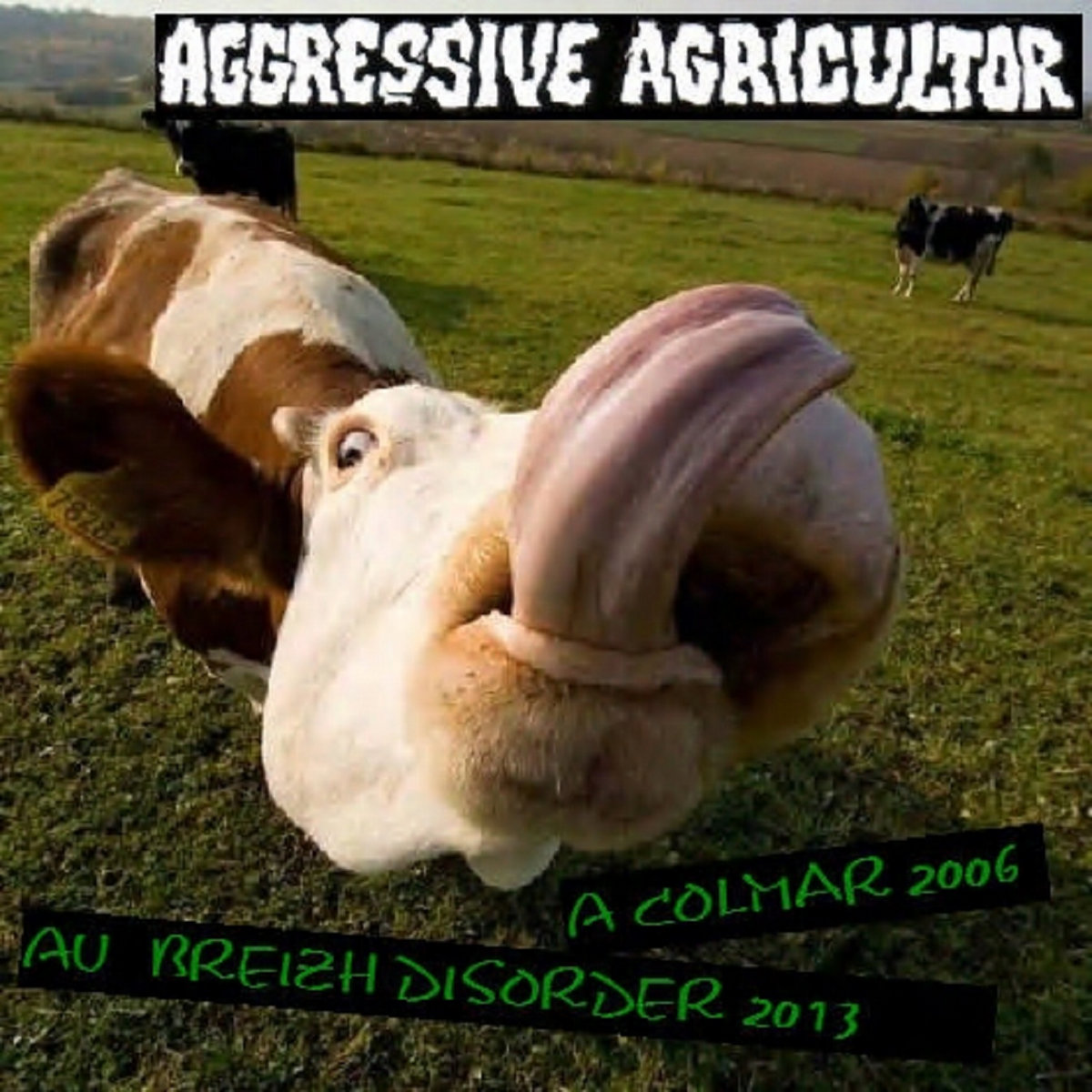 AGGRESSIVE AGRICULTOR concert Colmar 2006 / Breizh Disorder 2013 ...