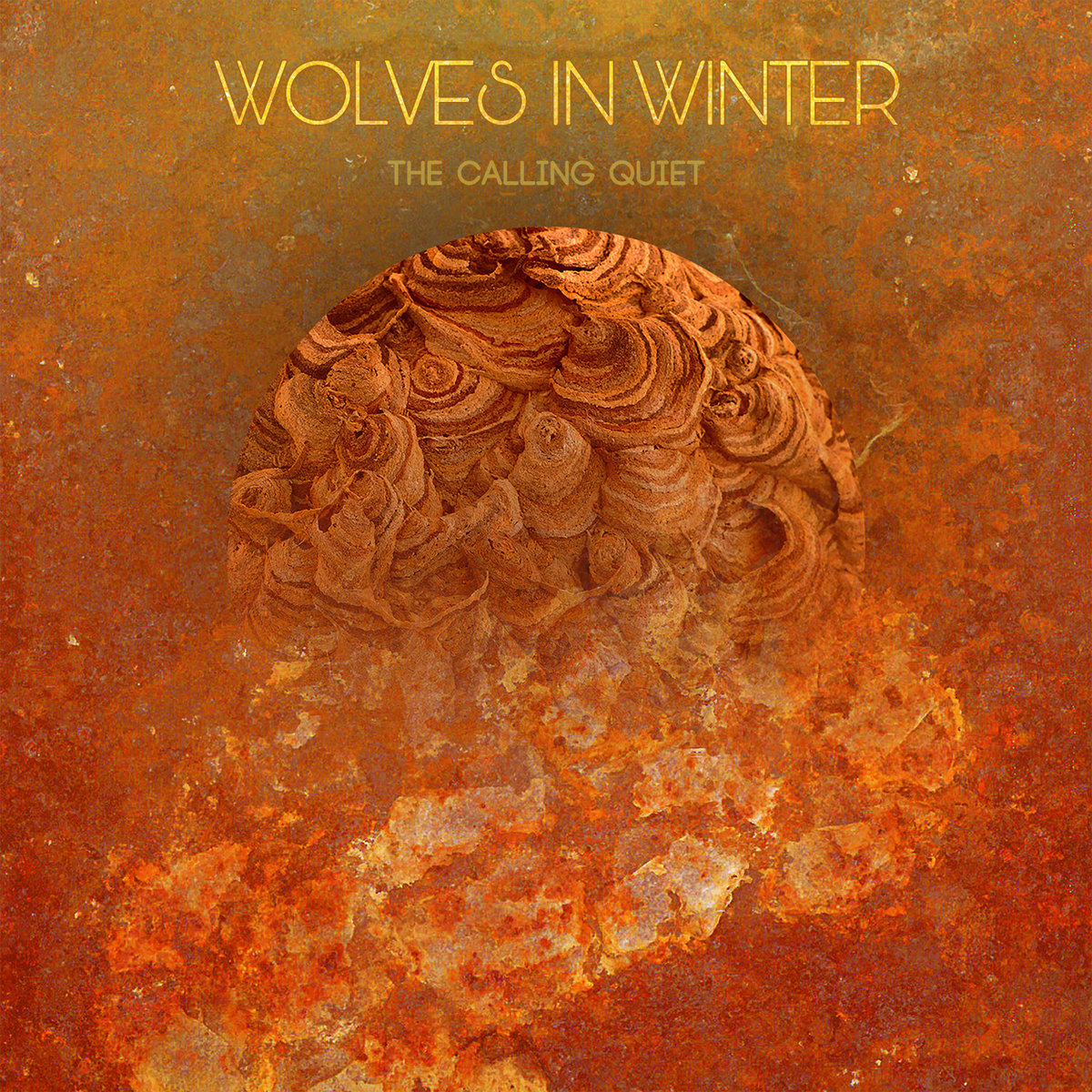 The calling quiet | Wolves In Winter. | WOLVES IN WINTER