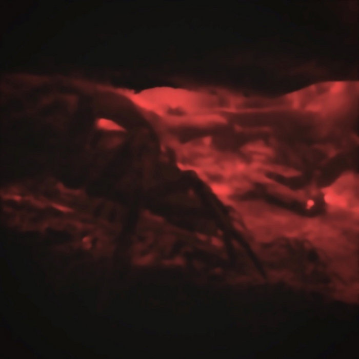 an evil web spinning spider death sorceress | 1000 years of death