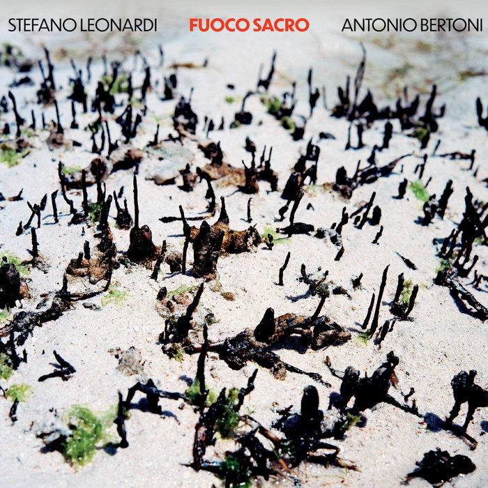 Fuoco Sacro | Stefano Leonardi & Antonio Bertoni | Aut Records