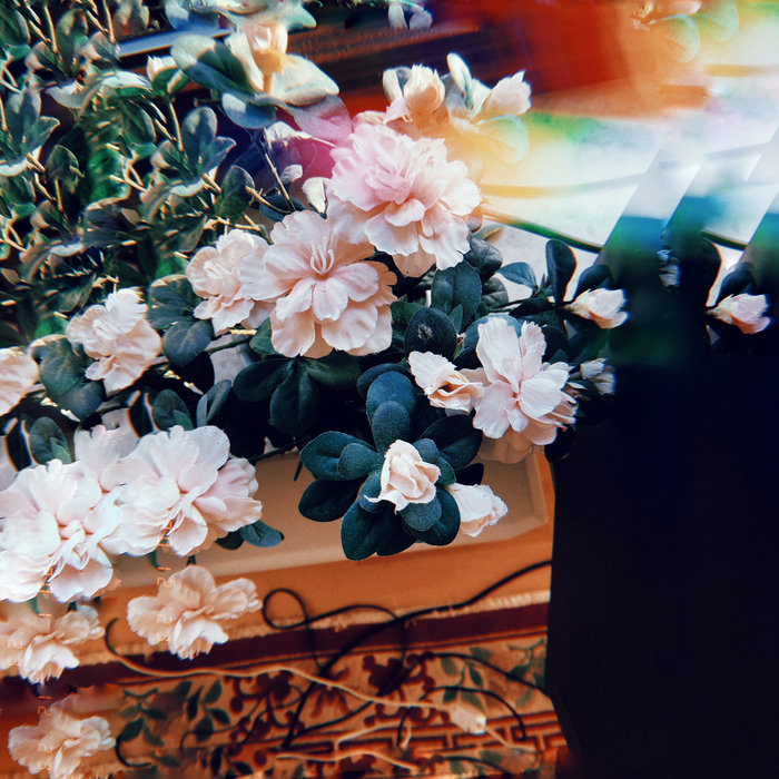 Flowers Dope | Shokh
