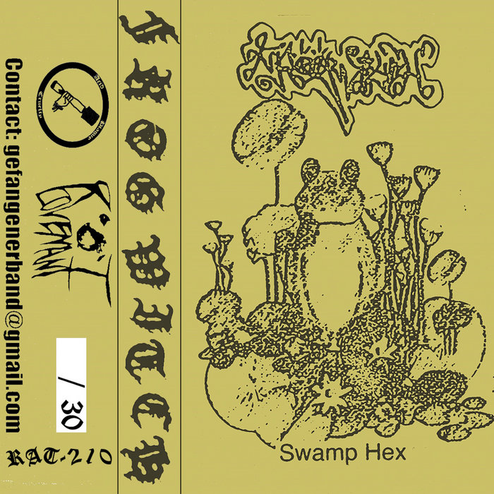 RAT-210 - Frog Witch - Swamp Hex | Rat Covenant