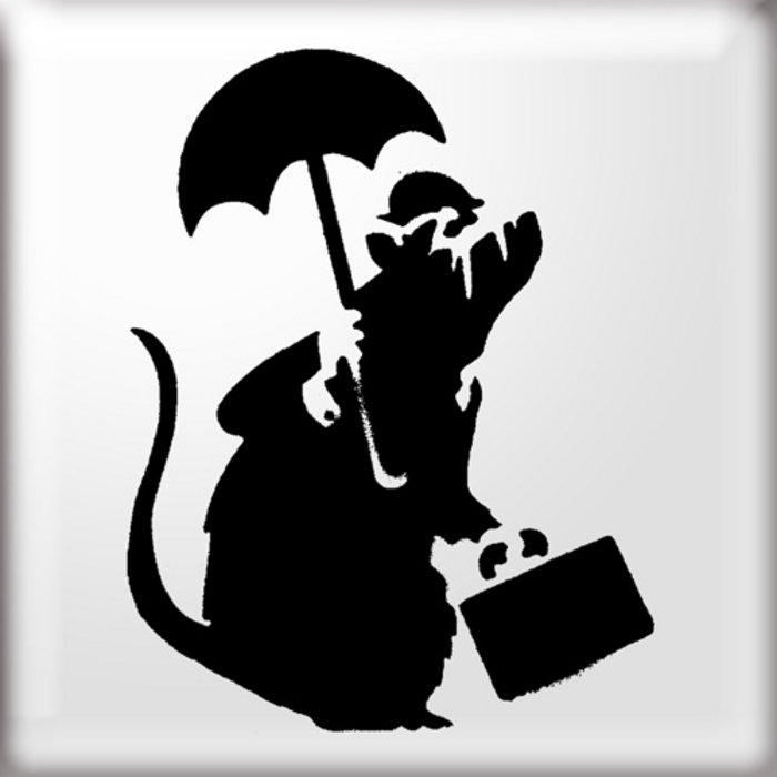 Rat Trap Sessions | Rogue Rats