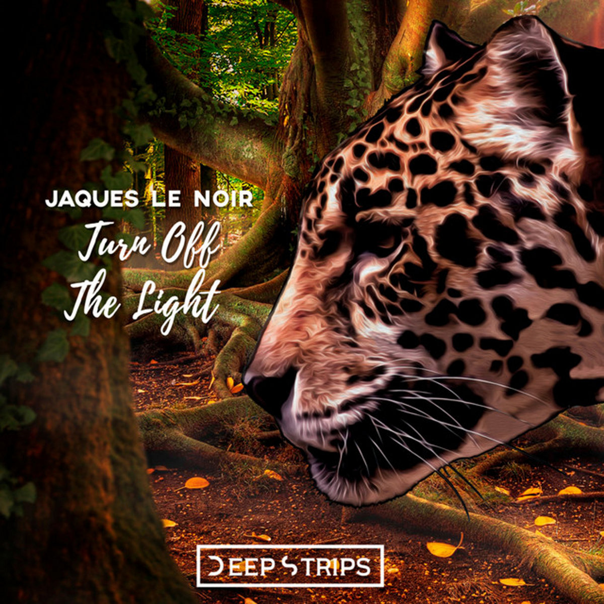 Turn Off The Light | Jaques Le Noir