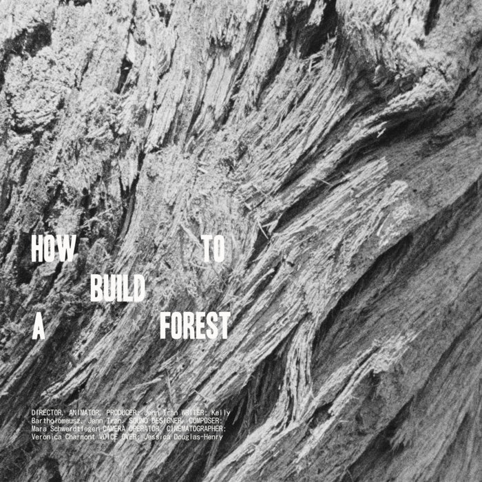 How To Build A Forest | mara