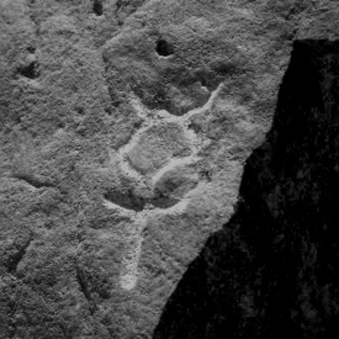 corporify | hydrargyrum