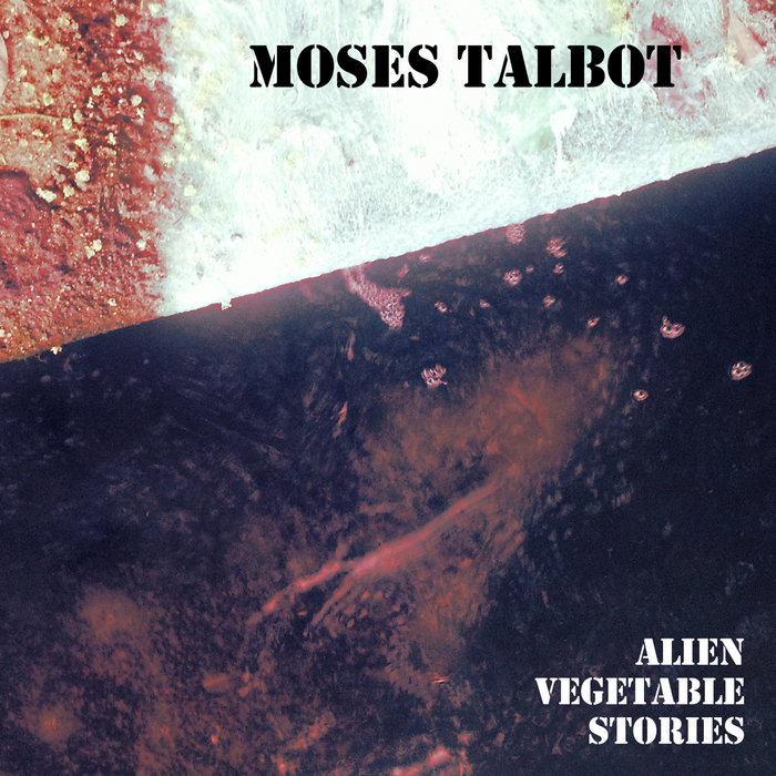 Alien Vegetable Stories | Moses Talbot
