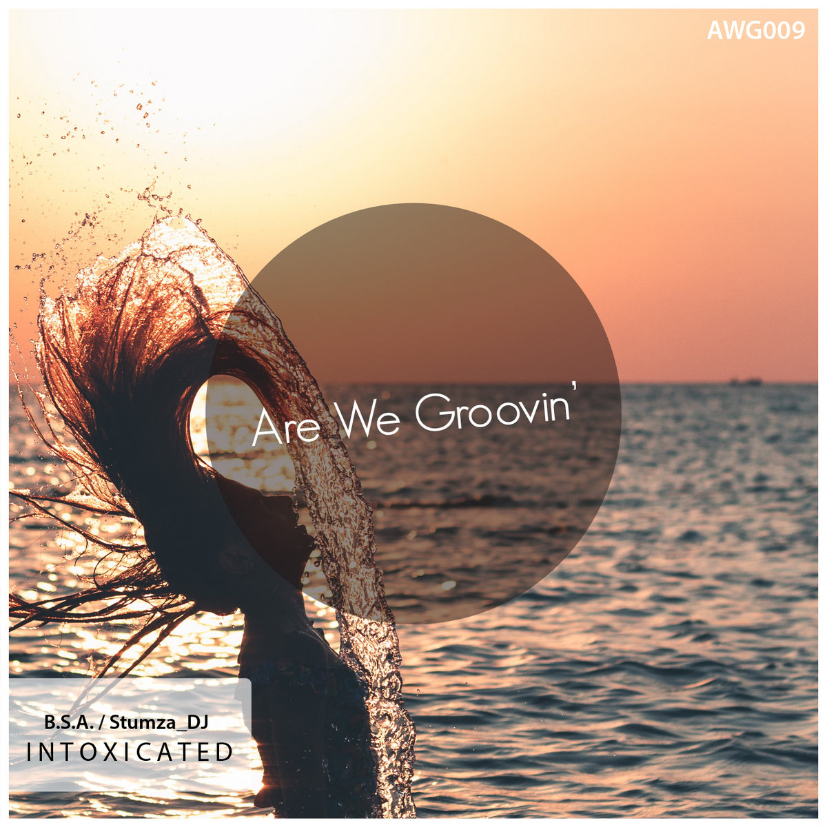 Intoxicated (Original Mix) | B.S.A. Feat. Stumza_DJ | Are We groovin'
