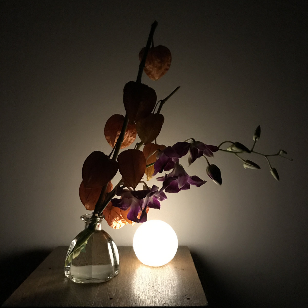 Ikebana | Jerry Gordon | Moontriangle