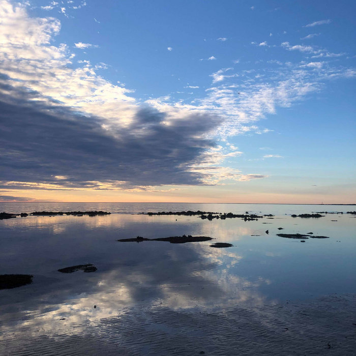 Ulillillia | Idiot Doom Spiral | Tim Edwards