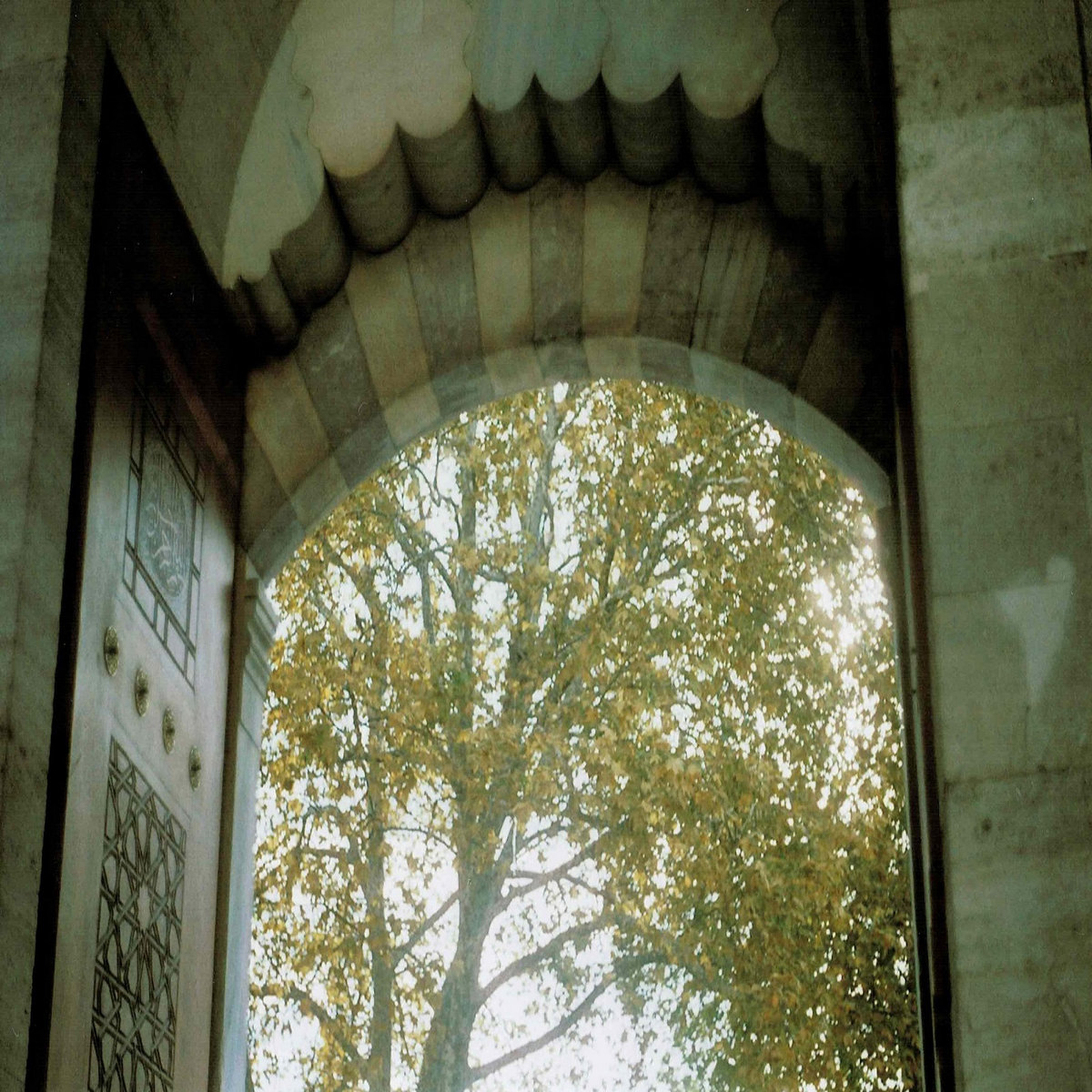 Sway When You're Losing | Glimlicht