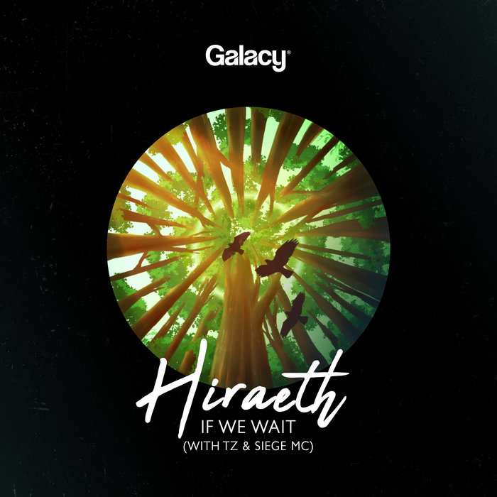 If We Wait (feat. Siege MC) | Hireath & TZ | Galacy Records