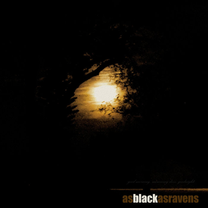 Good Morning, Mourning Dove, Goodnight | As Black As Ravens