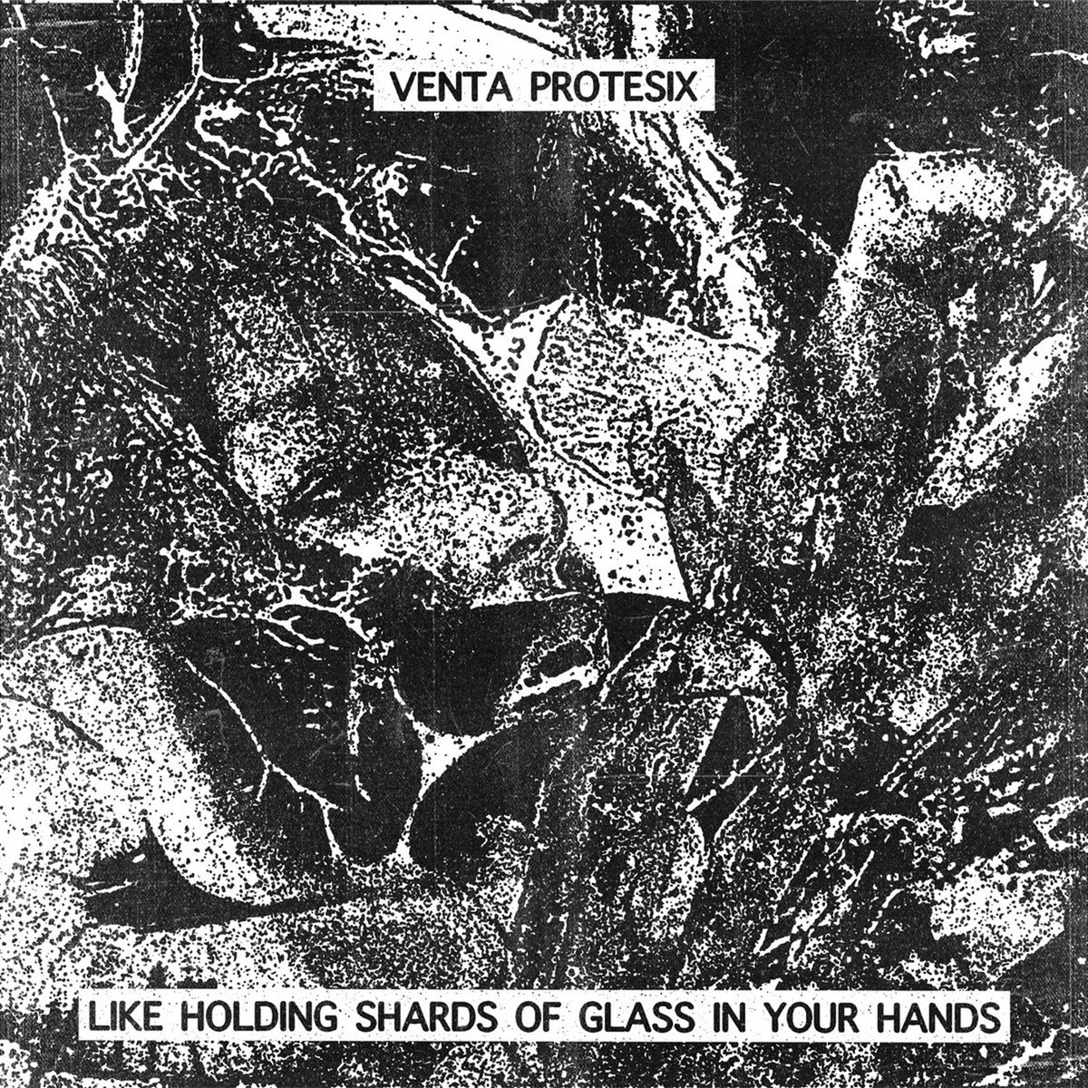 Like Holding Shards Of Glass In Your Hands | Venta Protesix