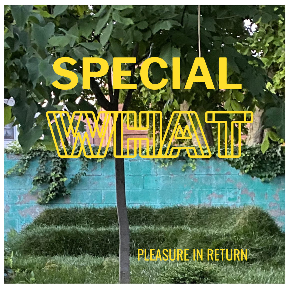 Pleasure in Return | Special What