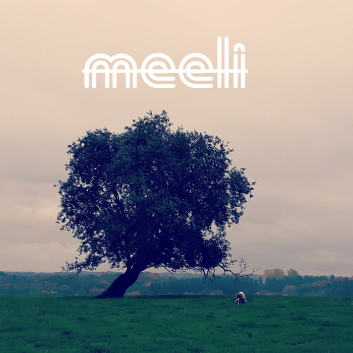 MEELI MIXTAPE | meelman