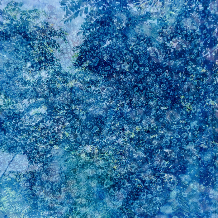 Parks with P. | column fieldhum