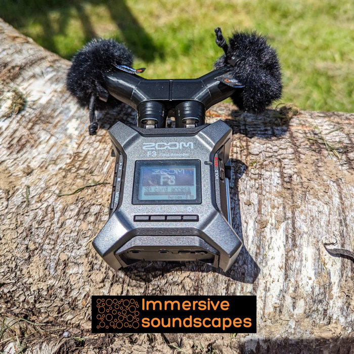 Earsight The one microphone samples | Immersive soundscapes