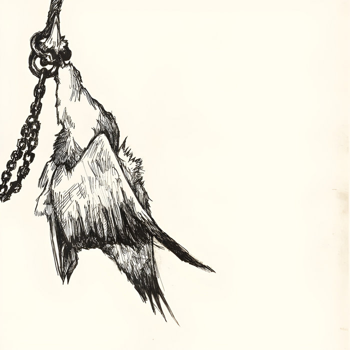 Stupid Fucking Bird | Henry Samra and Indigo Bongwater | Henry Samra
