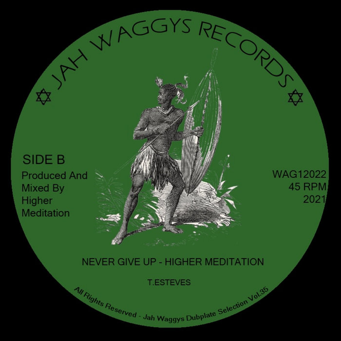 Never Give Up (Jah Waggys Records) | Higher Meditation