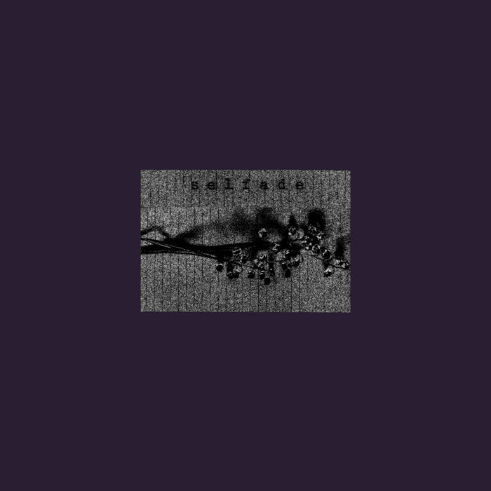 Half Day Closing | Selfade