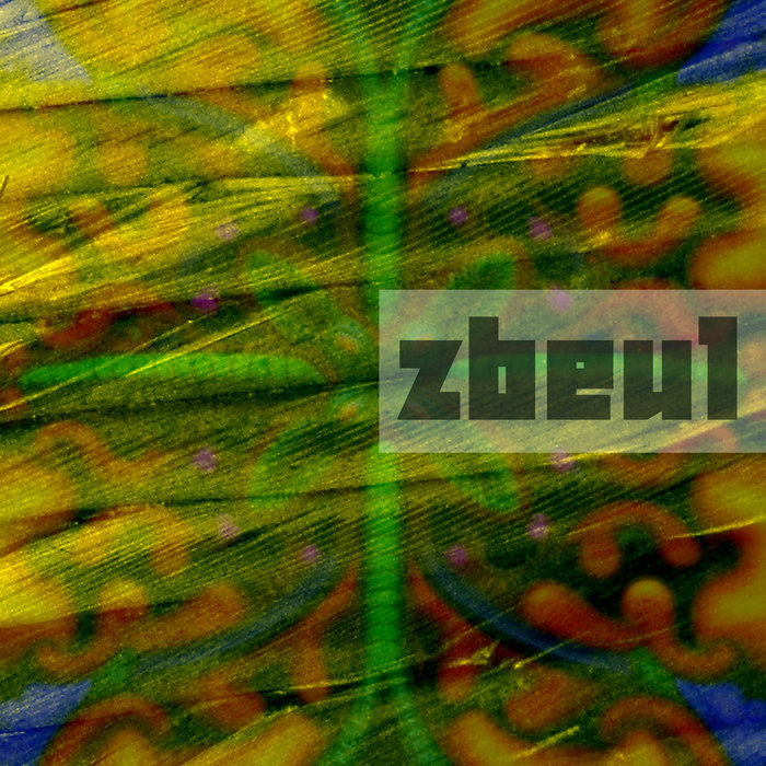 zbeul | L'Abeille Cool