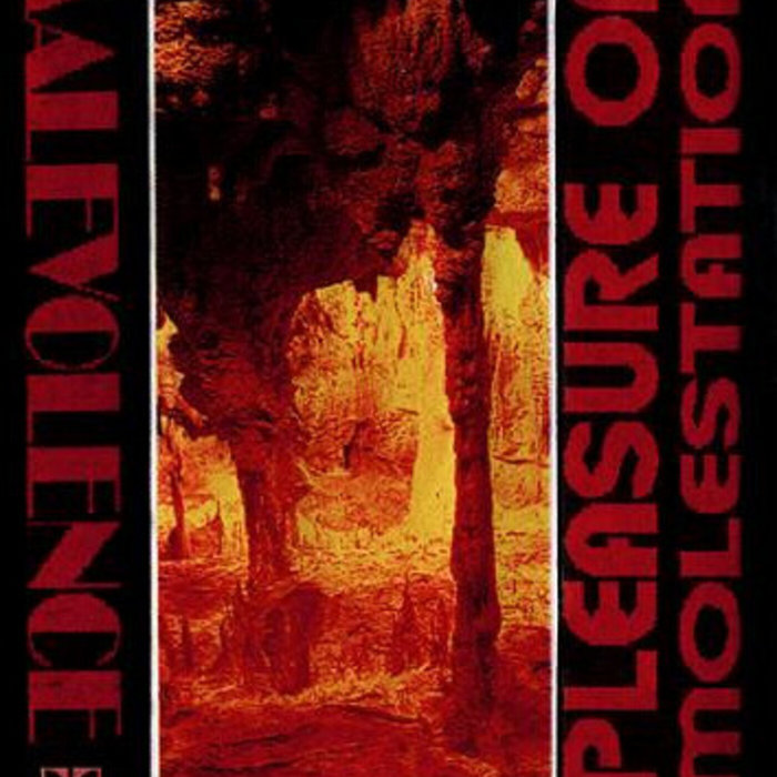 Malevolence - Pleasure Of Molestation | Malevolence | Portuguese Demo Archives