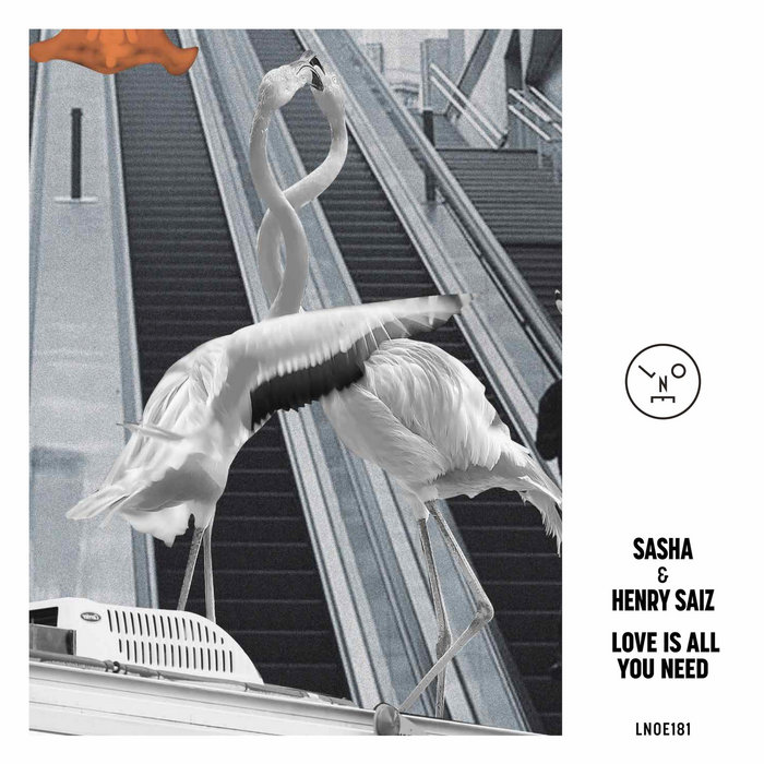 Love Is All You Need | Sasha & Henry Saiz | Sasha