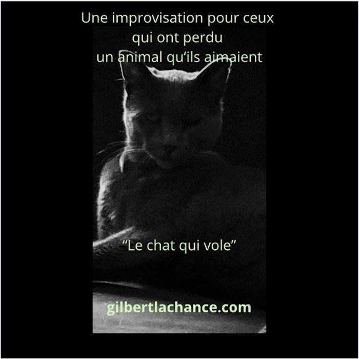Le chat qui vole | Gilbert Lachance