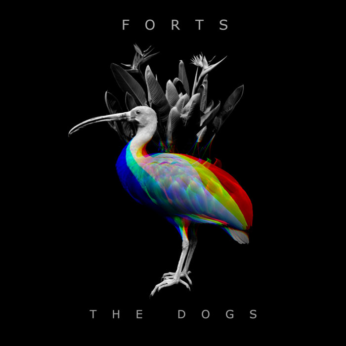 Music | Forts
